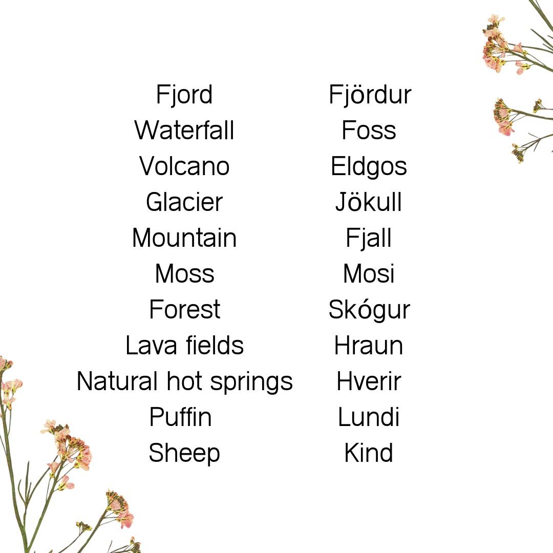 Visiting Iceland? Learn these 11 Icelandic words - Wait Where is She ...