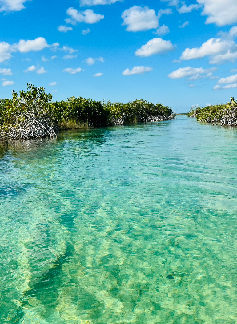 Unique things to do in Tulum, Mexico: Floating the secret Mayan rivers ...