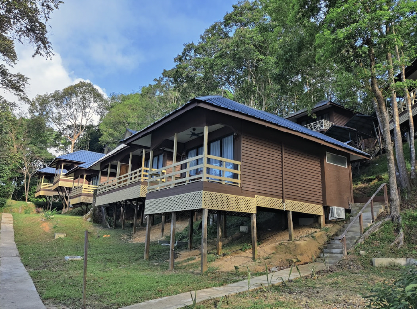 How Much Does a River Safari in Borneo Cost?