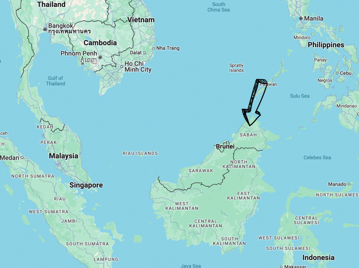 I spent 4 days on a jungle river safari in Borneo. You won't BELIEVE ...