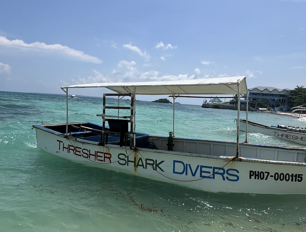 I went thresher shark diving in Malapascua (KNOW BEFORE YOU GO)